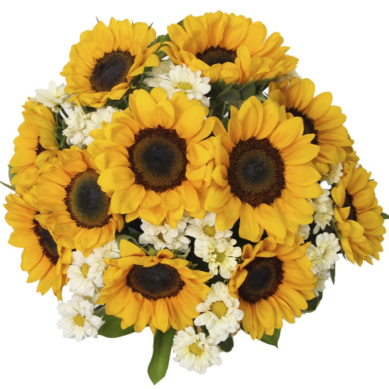 12 Sunflowers with Daisies | Delivery to Lima and Callao - Kukyflor