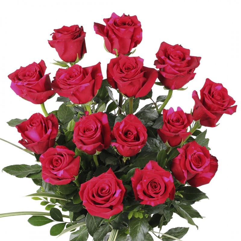 15 Roses in a Vase | Fresh Flowers | Kukyflor