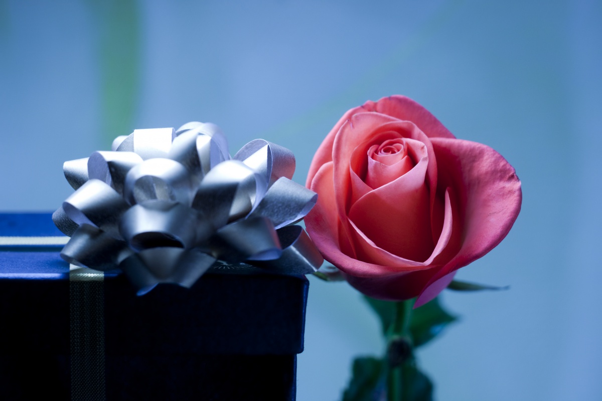 Regalos de cumpleaños para un amante de las flores - Kukyflor.com